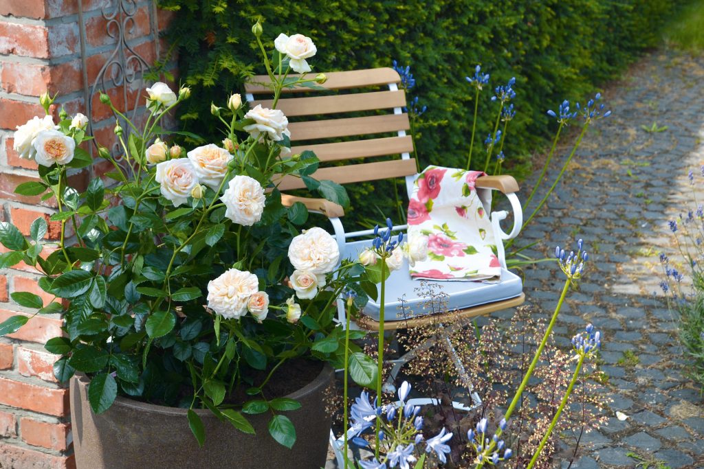 Audienz® – NOACK Rosen